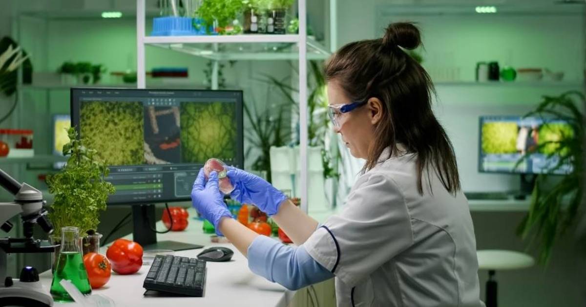 Guida alla Food Defense